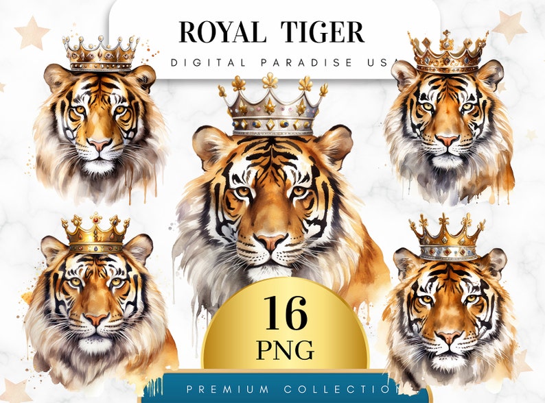 Set of 16, Royal Tiger Clipart, Tiger PNG, Jungle Animal, Tiger Art ...