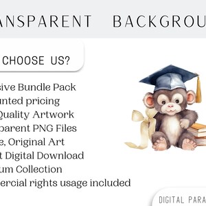 Set of 12, Monkey Graduation Clipart, Monkey Graduation Cap, Monkey PNG ...