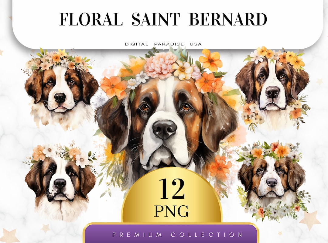 Set von 12, Bernhardiner Clipart, Bernhardiner, Hund Clipart, Hund PNG ...