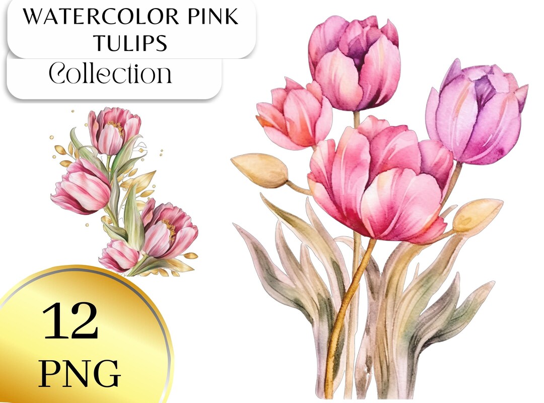 Set of 12 Watercolor Pink Tulips Clipart Tulips PNG Floral - Etsy