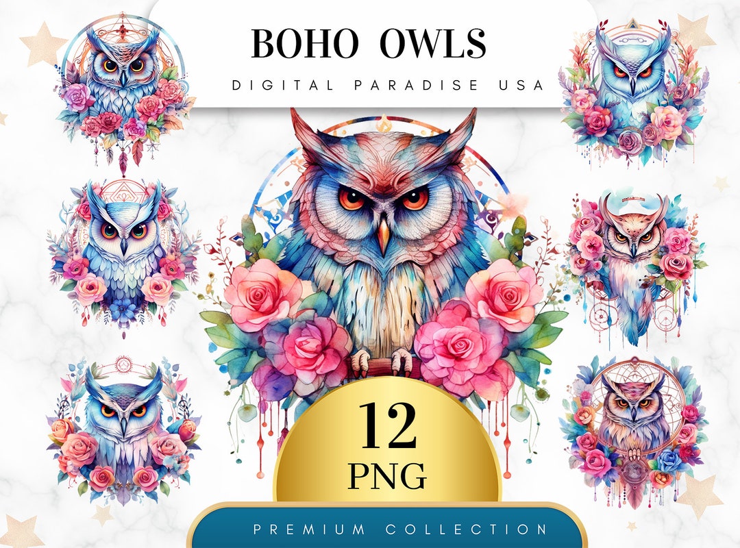 Set of 12, Boho Owls Clipart, Floral Owls Clipart, Owl PNG, Watercolor ...