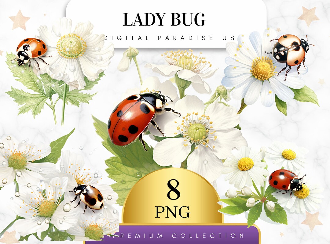 Set of 8, Watercolor Lady Bug Clipart, Lady Bug PNG, Bug Clipart ...
