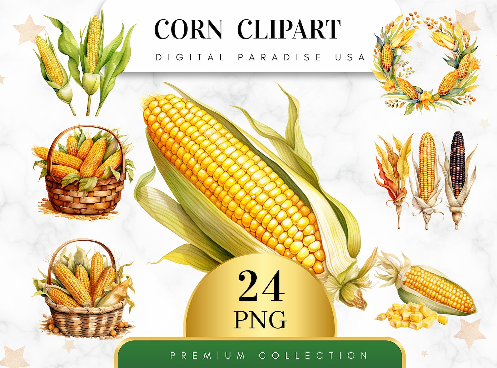 Set of 24, Watercolor Corn Clipart, Corn PNG, Harvest Clipart ...