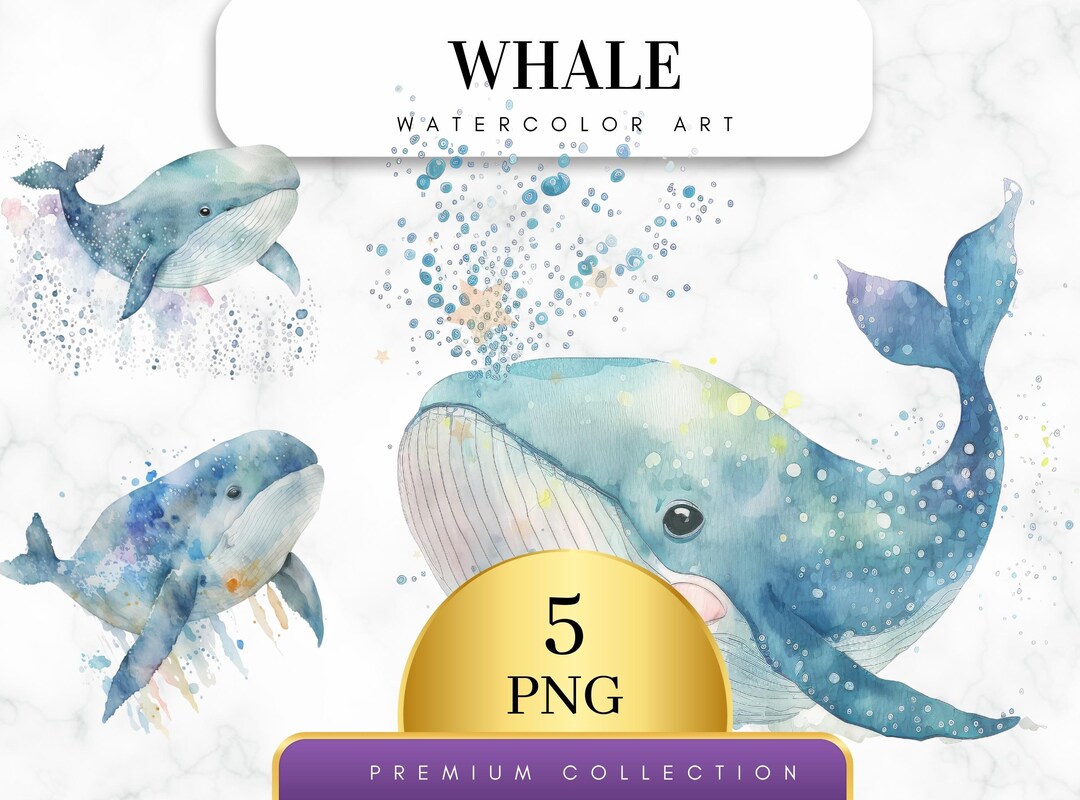 Set of 5, Watercolor Whale, Whale Clipart, Whale PNG, Whale Bundle ...