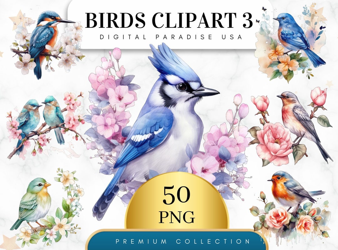 Set of 50, Watercolor Birds Clip Art, Colorful Birds Clipart, Spring ...