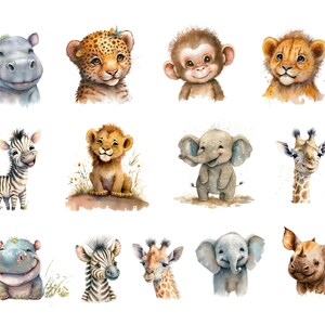 Safari Baby Animals Watercolor Clipart Cute Baby Shower Nursery Decor ...