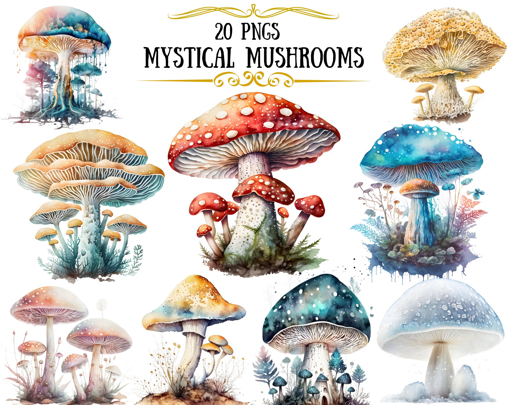 Mystical Mushrooms Clipart Watercolour Magic Mushrooms - Etsy