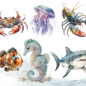 Sea Clipart Undersea Watercolor Clipart Fish Clipart Sea Creatures Sea ...