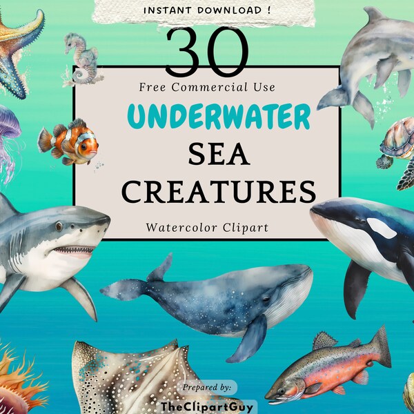 Sea Animal Clipart - Etsy