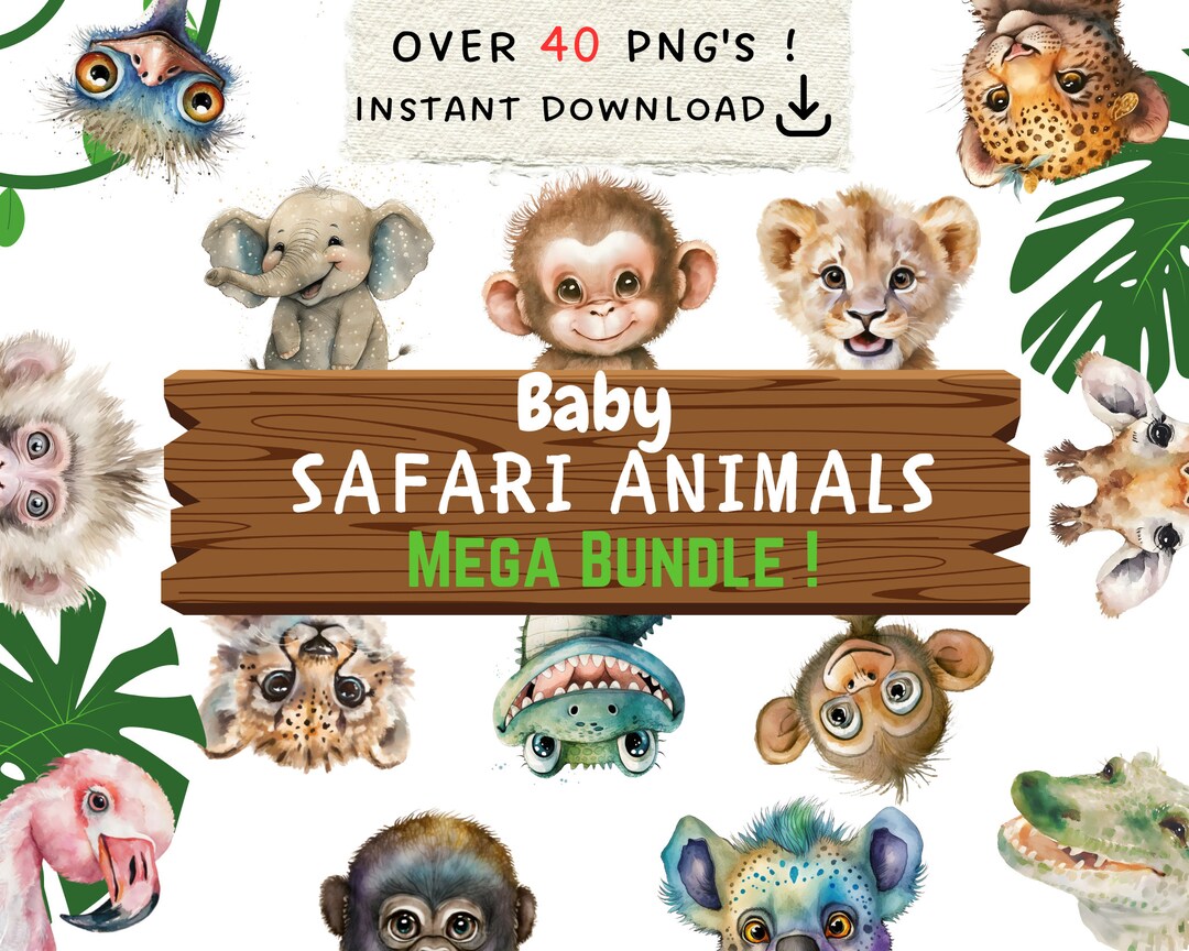 Safari Baby Animal Clipart Safari Clipart Baby Animals Safari ...
