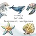 Sea Clipart Undersea Watercolor Clipart Fish Clipart Sea Creatures Sea ...