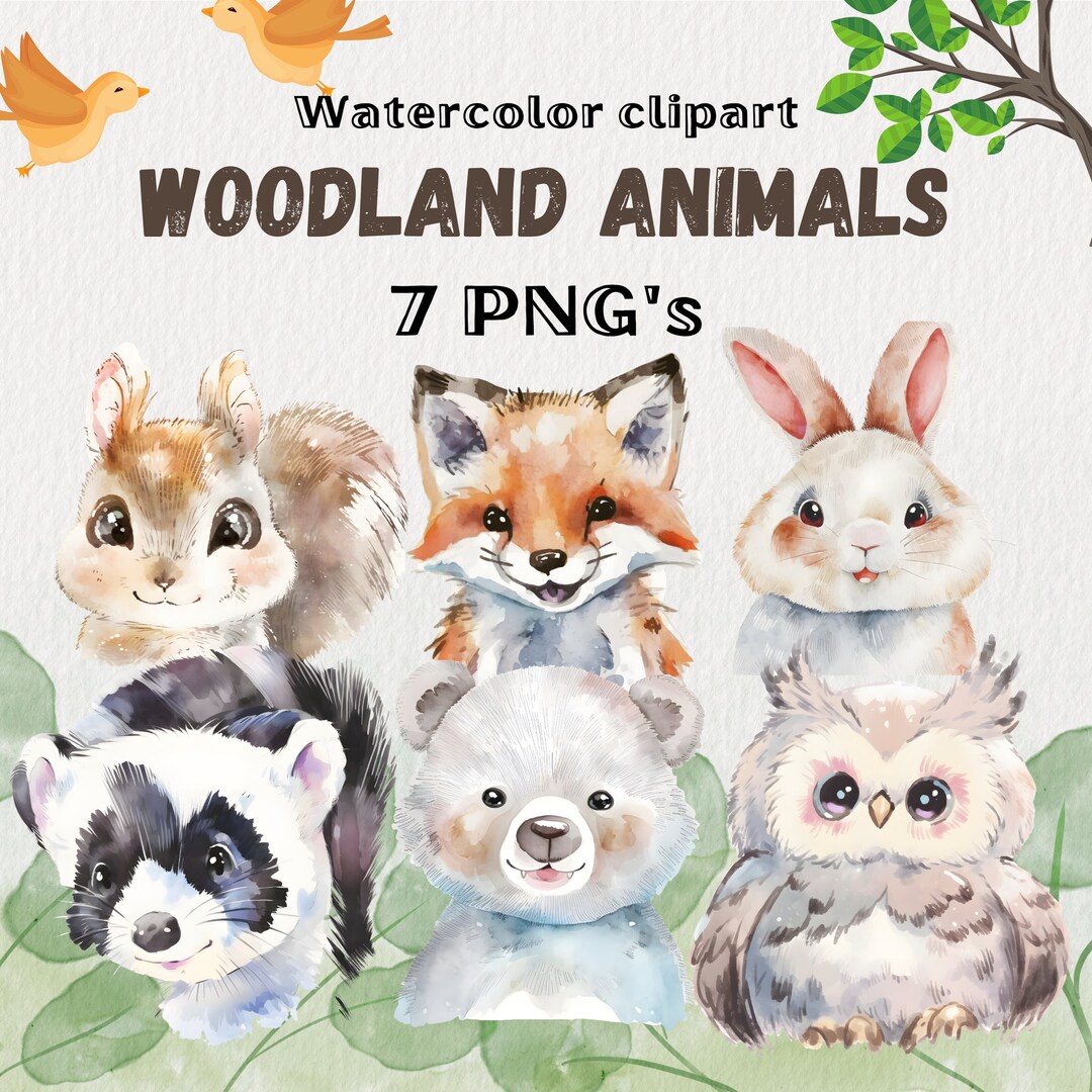 Watercolor Woodland Forest Animals Clipart Cute Baby Shower Nursery ...
