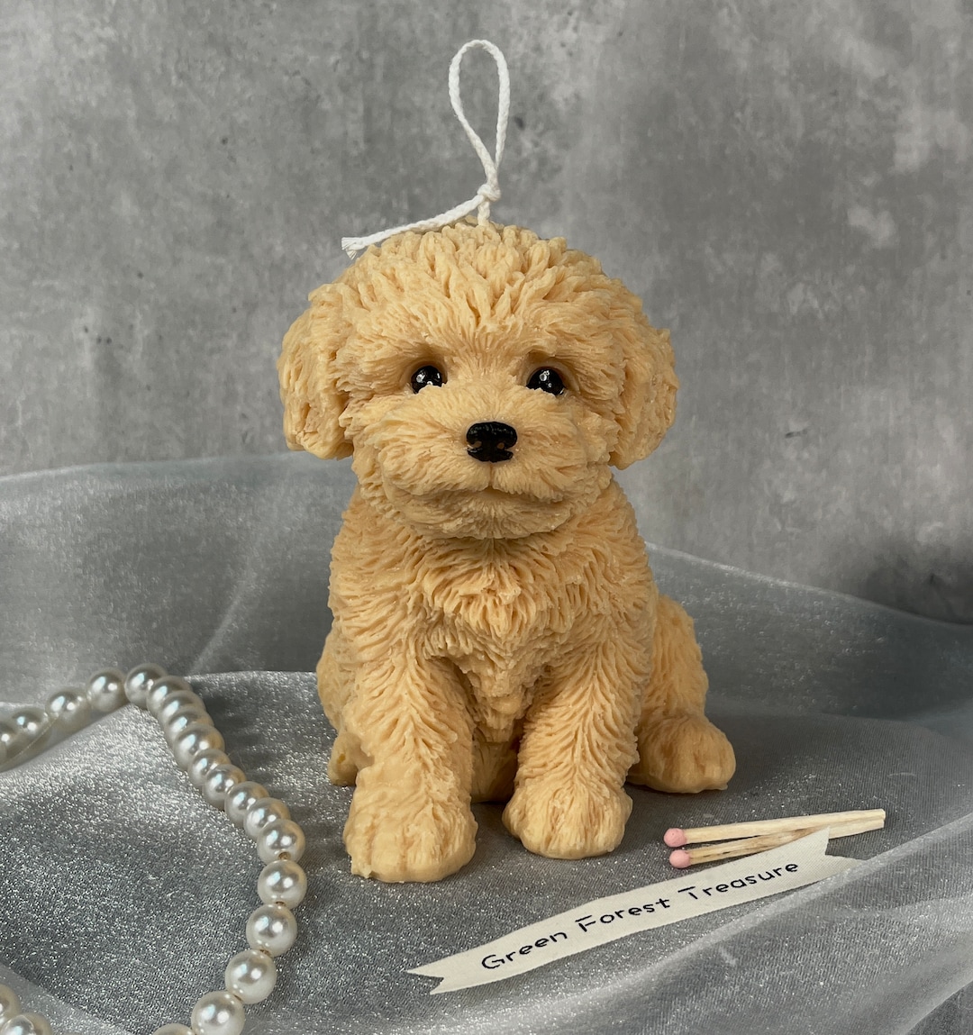 Cute Puppy Shaped Candle, Teddy Dog Candle, Poodle Candle, Cute Bichon ...