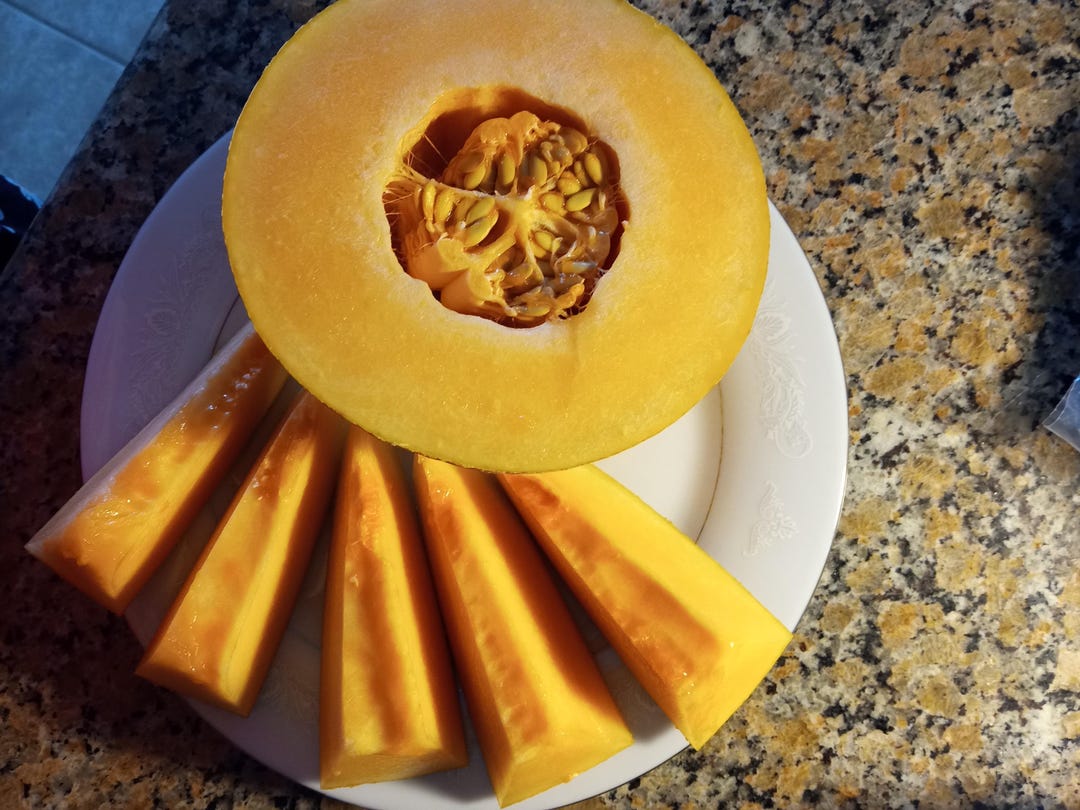 30 Golden Hami Melon Seeds. Organic. USA Seeds. Ships Free. 2025 Season ...