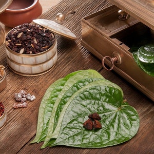 Fresh Organic 40-100 Betel Leaves Leaf (paan Patha, Pann, Piper Betel ...
