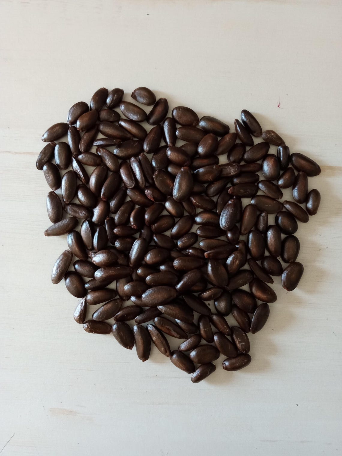 15-100 Sugar Apple Seeds, Tropical Organic Seeds, Exotic Fruit, Easy to ...