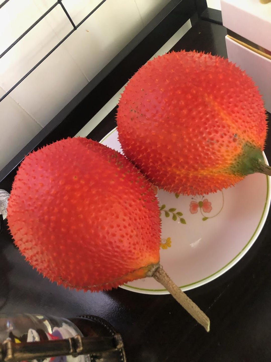 10 Gac Fruit Seeds || Melon Vine, Momordica Cochinchinensis || Hạt Trái ...