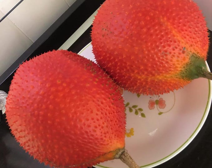 2 Hat Giong Trai Gac GAC FRUIT Gac Melon Vine Momordica Cochinchinensis ...