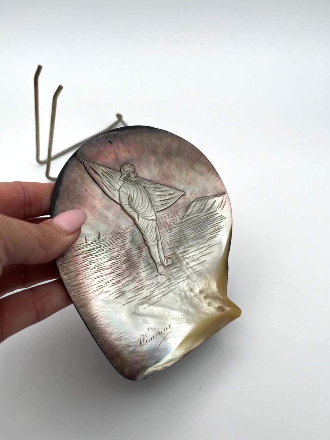 French Wimereux Carved Engraved Shell Sailer Hand Made Decor Vintage ...