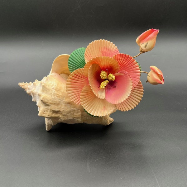 Seashell Flowers - Etsy