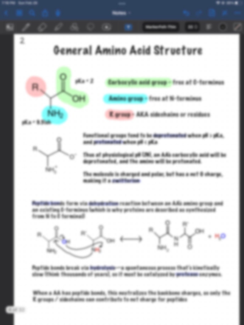 Ultimate MCAT Amino Acid Study Guide -- Practice Pages, Mnemonics, + Study Tips Included!! - Etsy