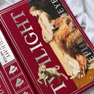 Twilight by Stephenie Meyer // Rebind // Handmade Edition - Etsy