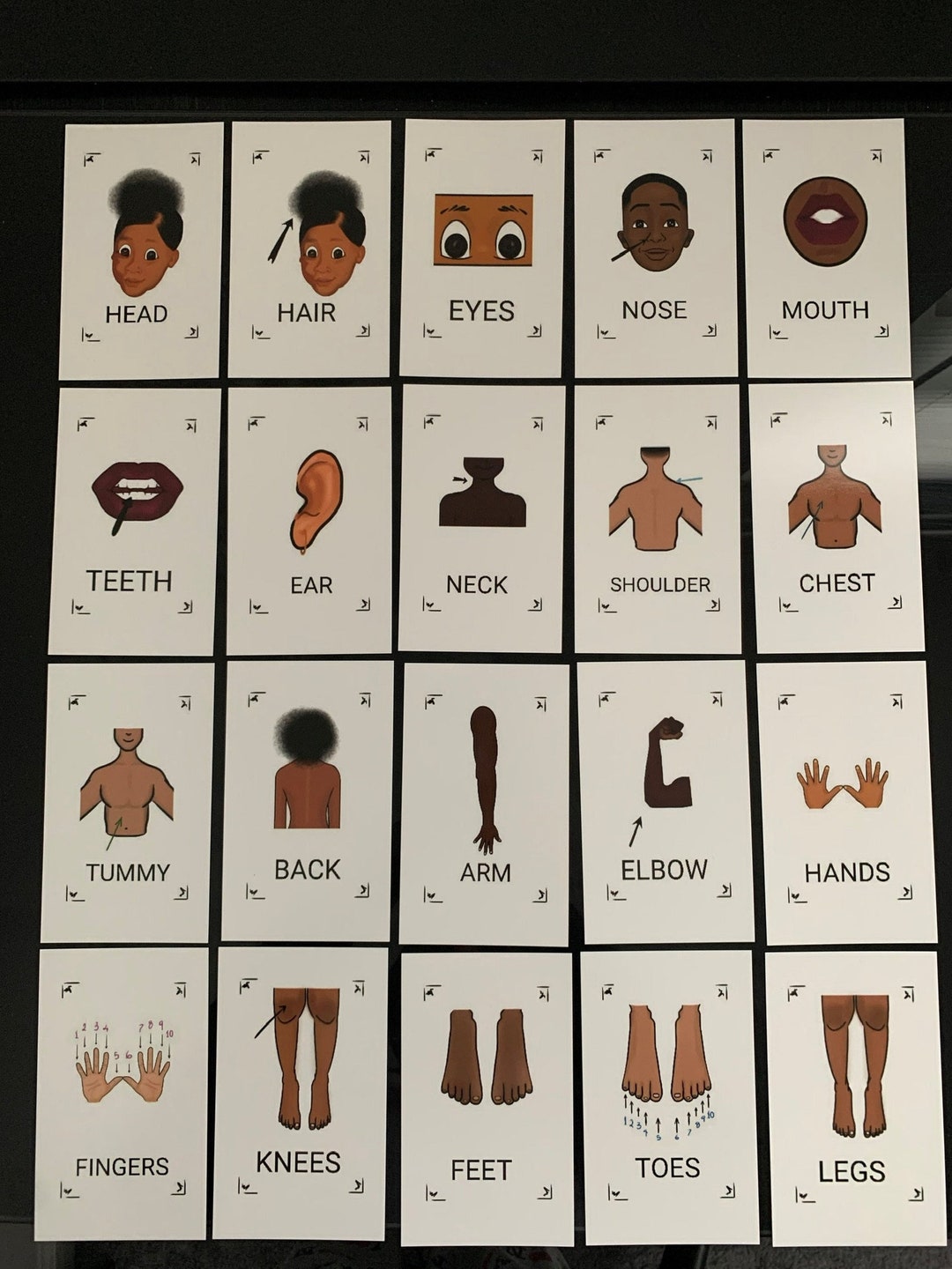 Learn My Body Flashcards - Etsy