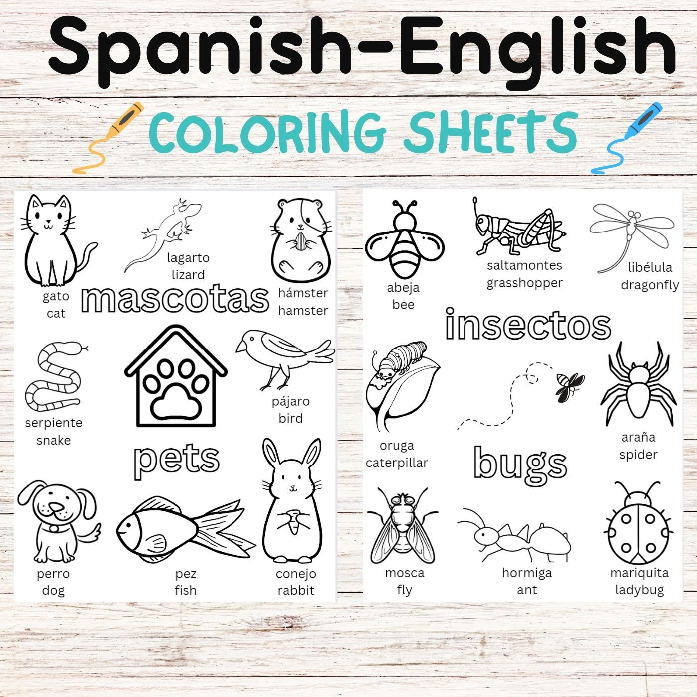 Bilingual Spanish English Coloring Pages Kids, Preschool, Kindergarten ...