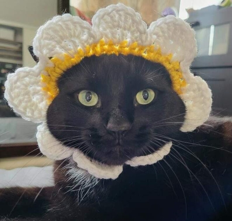 Daisy Cat Headband - Etsy