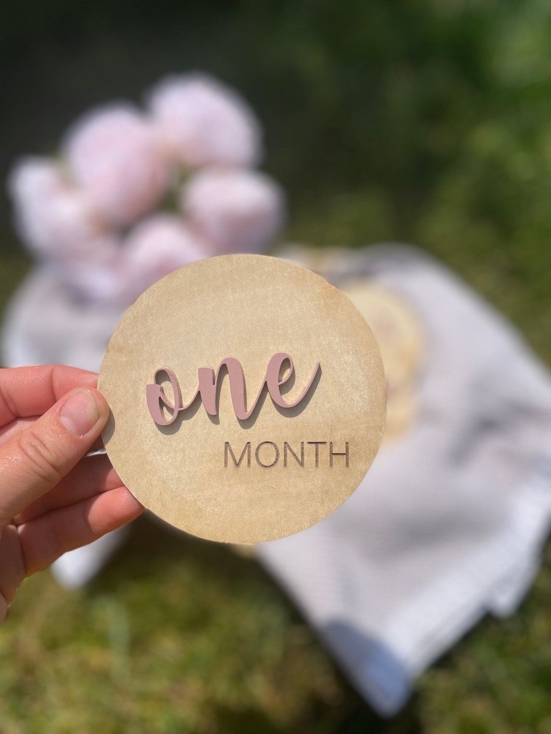 Monthly Milestone Circle - Etsy