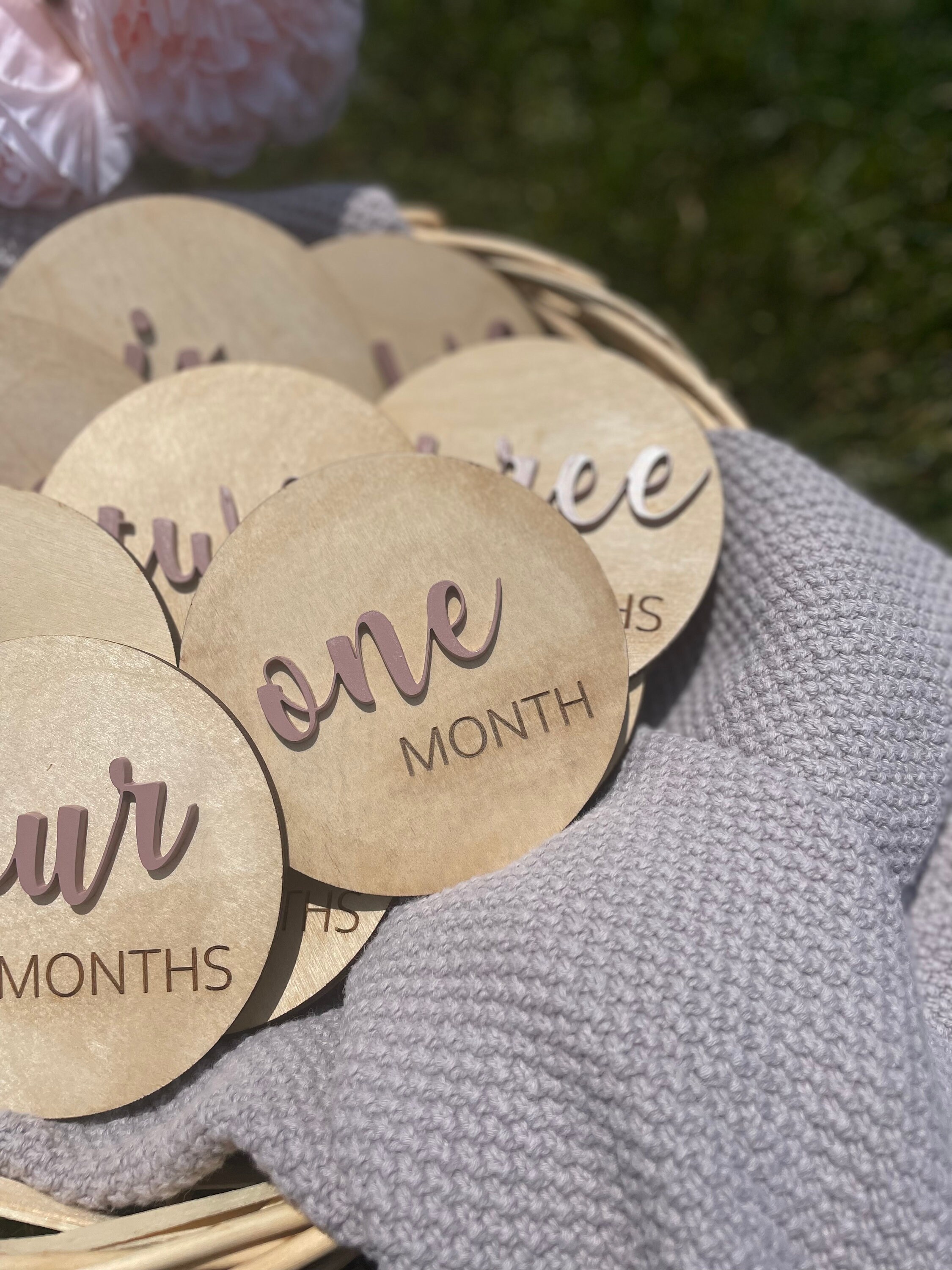 Monthly Milestone Circle - Etsy