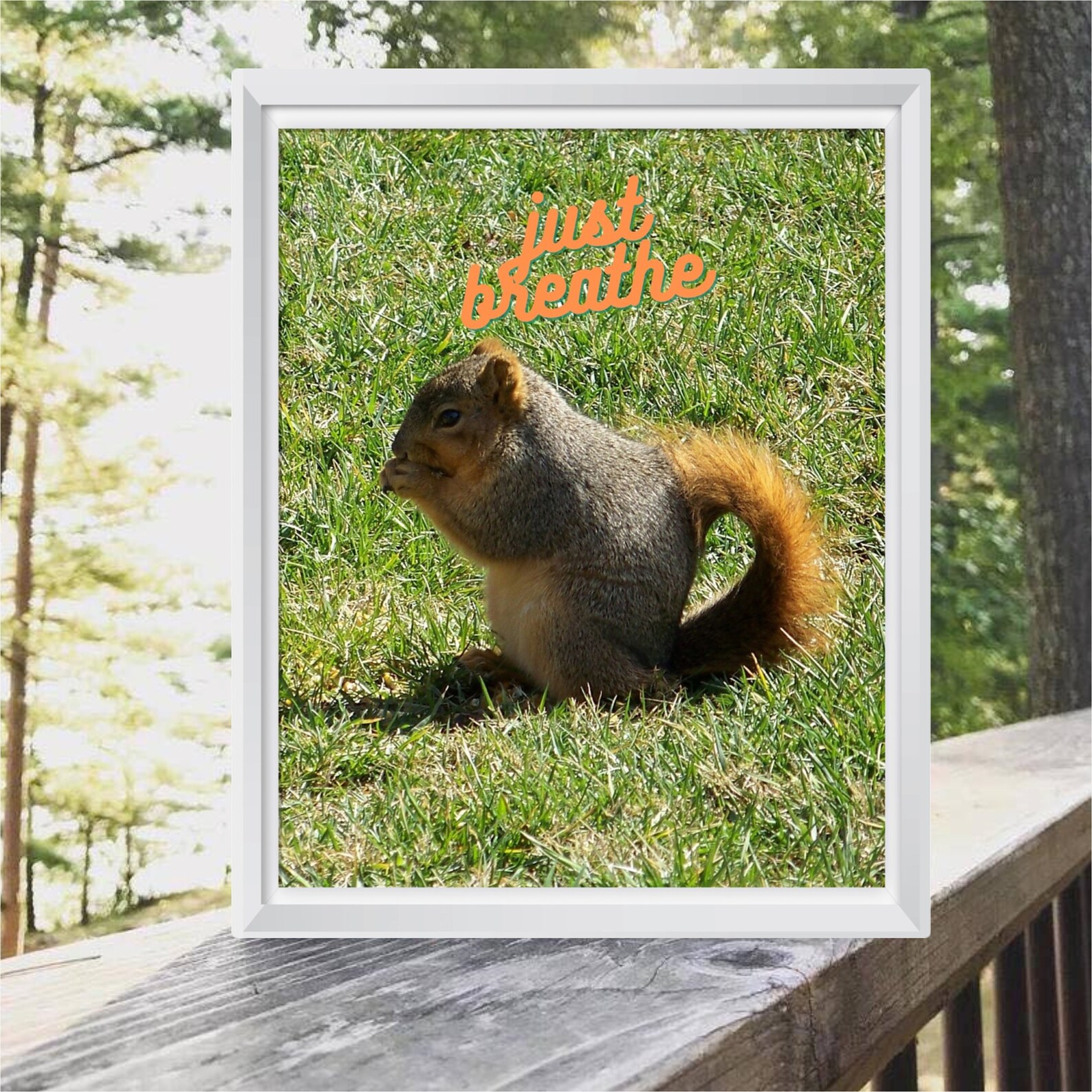 Squirrel in Thought Poster/country Squirrel Wall Decor - Etsy