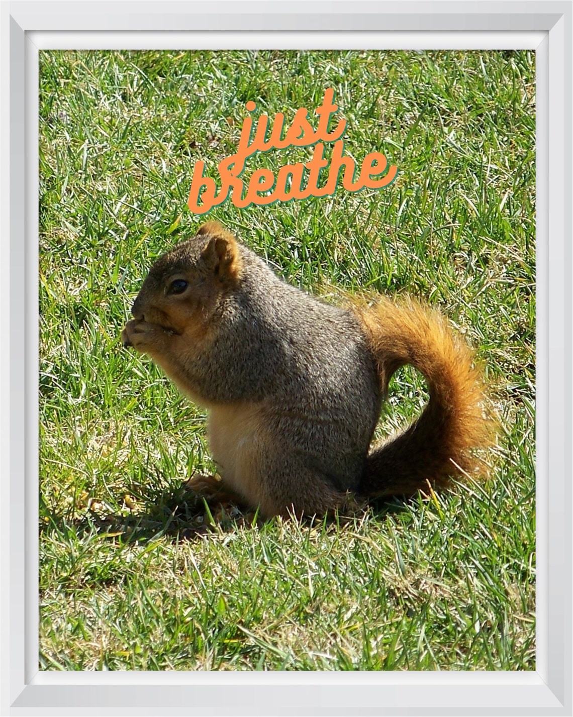 Squirrel in Thought Poster/country Squirrel Wall Decor - Etsy