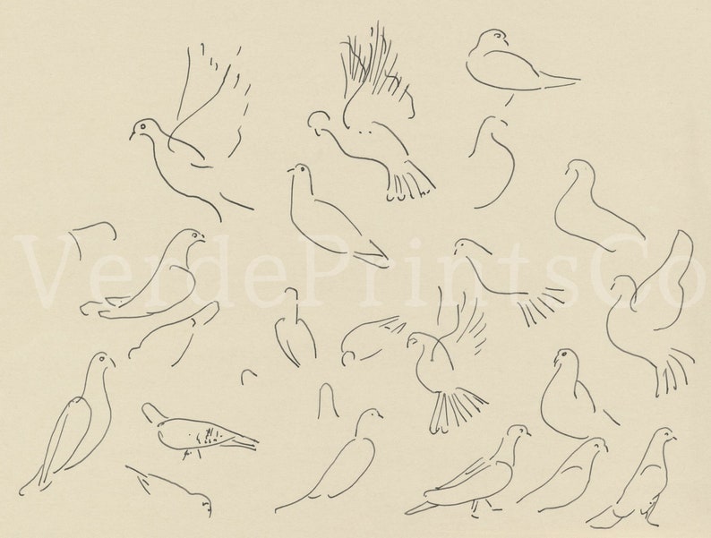 Vintage Birds Line Drawing Sketch Printable File Large Artwork Digital ...