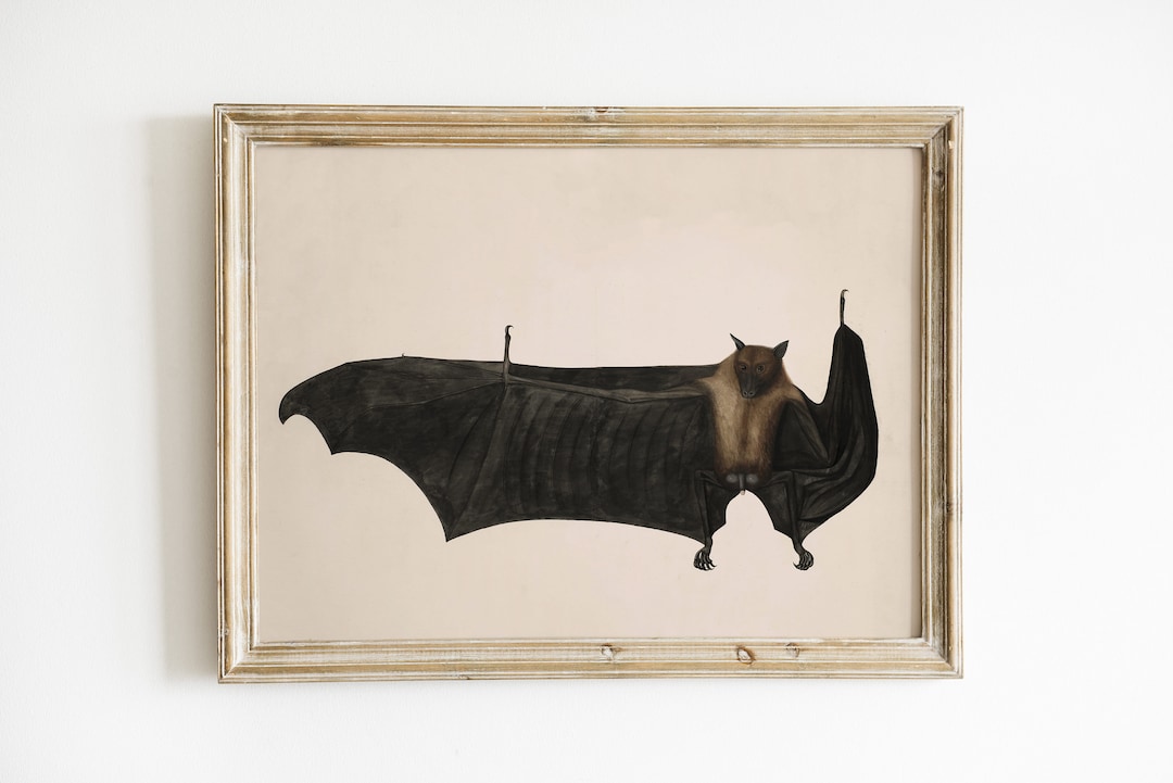 Vintage Bat Illustration for Wall Art Decor Downloadable File | DA027 ...