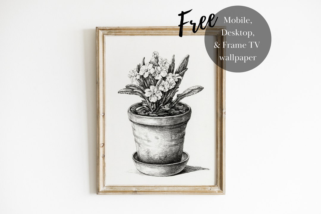 Printable Vintage Sketch Potted Plant Black and White Wall Art SK022 - Etsy