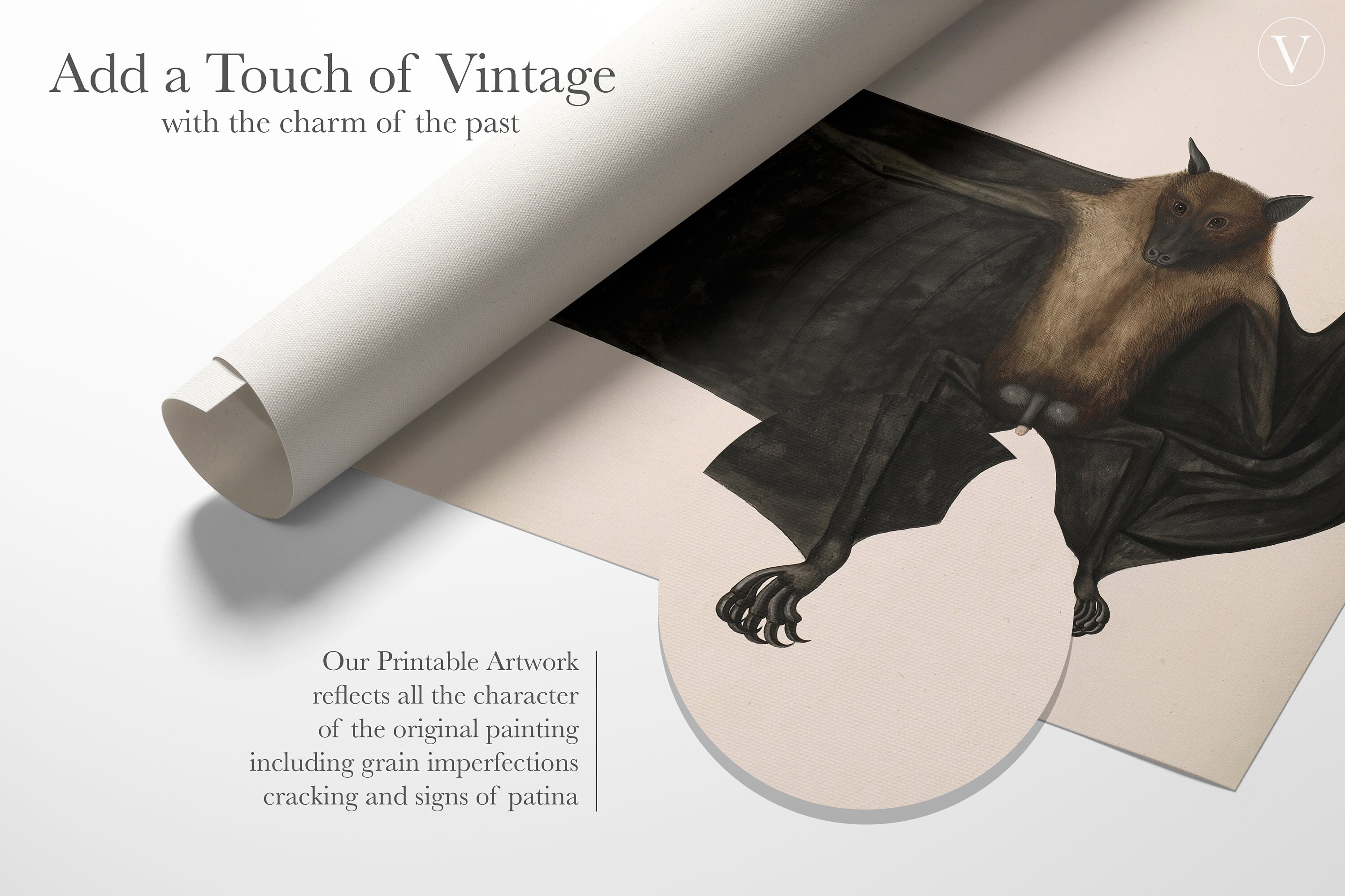 Vintage Bat Illustration for Wall Art Decor Downloadable File DA027 - Etsy