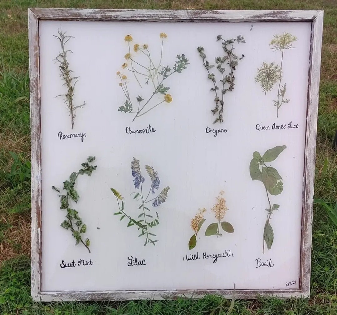Real Flower/plant Art With Names Included - Etsy
