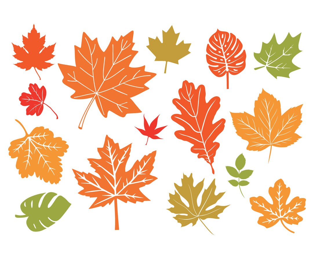 Fall Leaves SVG Bundle Fall Leaf Leaves Svg Bundle Digital - Etsy