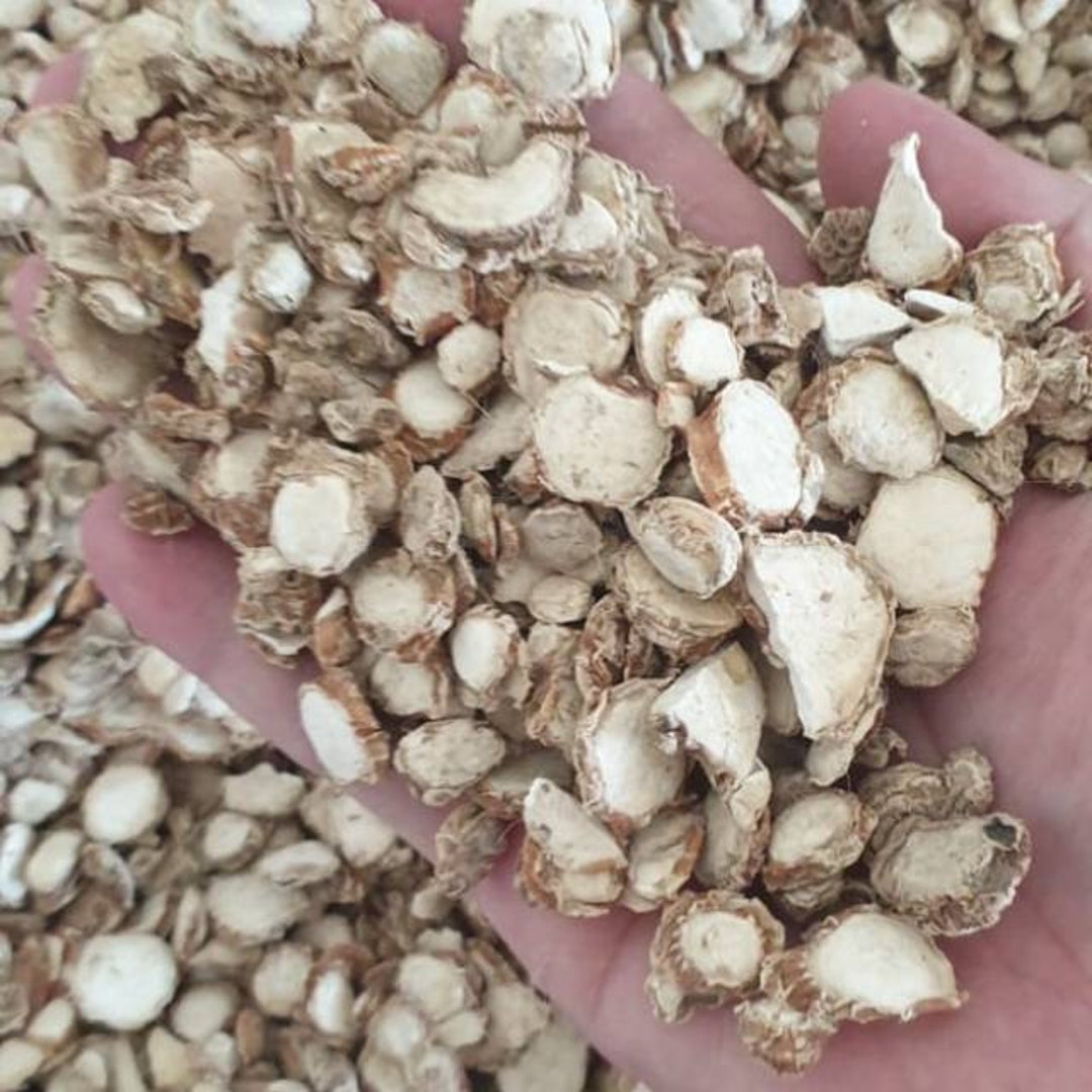 Aromatic Ginger, Kaempferia Galanga, Sand Ginger, Kencur, Proh Horm ...