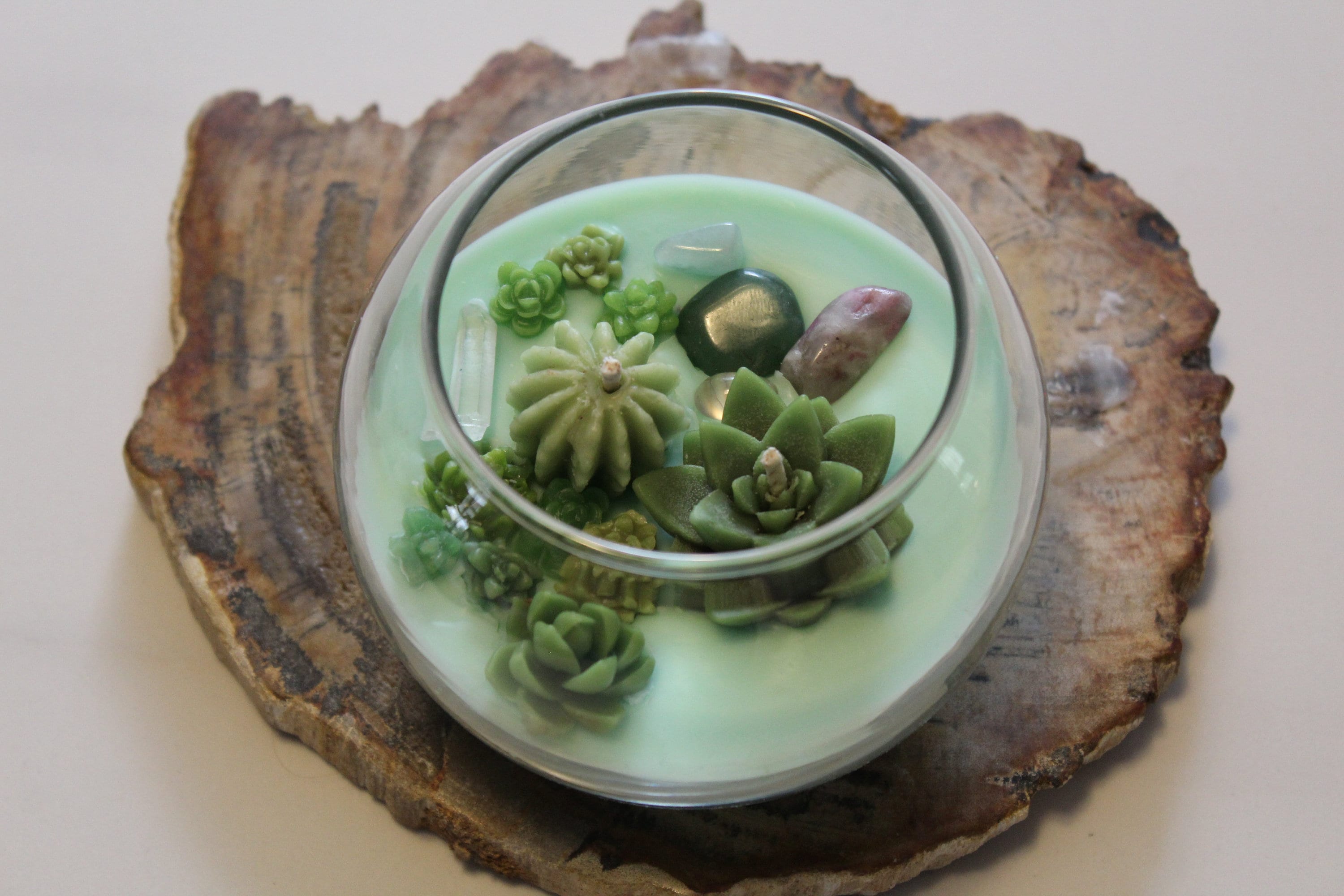 Succulent Decorative Candle Two Wick Candle terrarium Candle Plant Lady ...