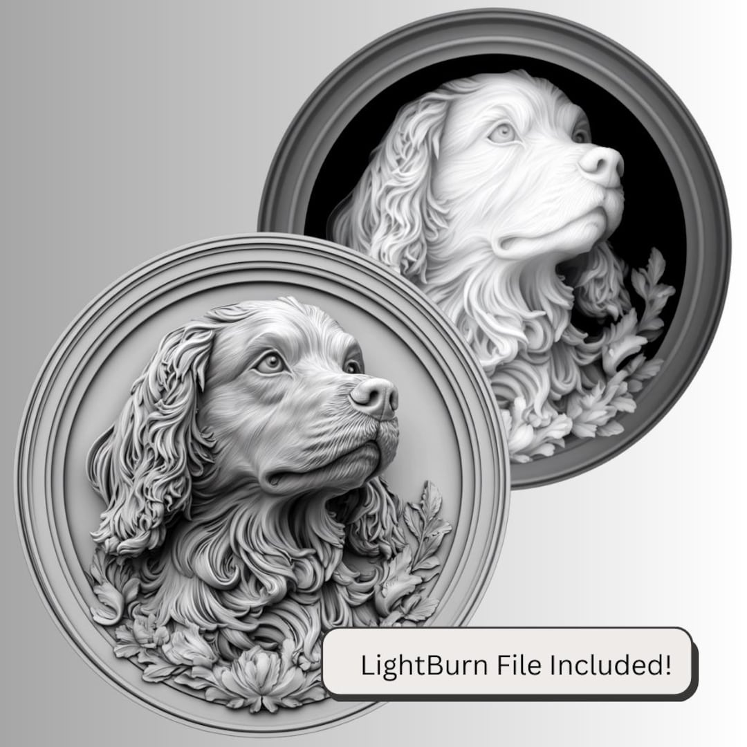 Coin Depth Map | Height Map | Xtool | Glowforge | PNG File | Grayscale ...