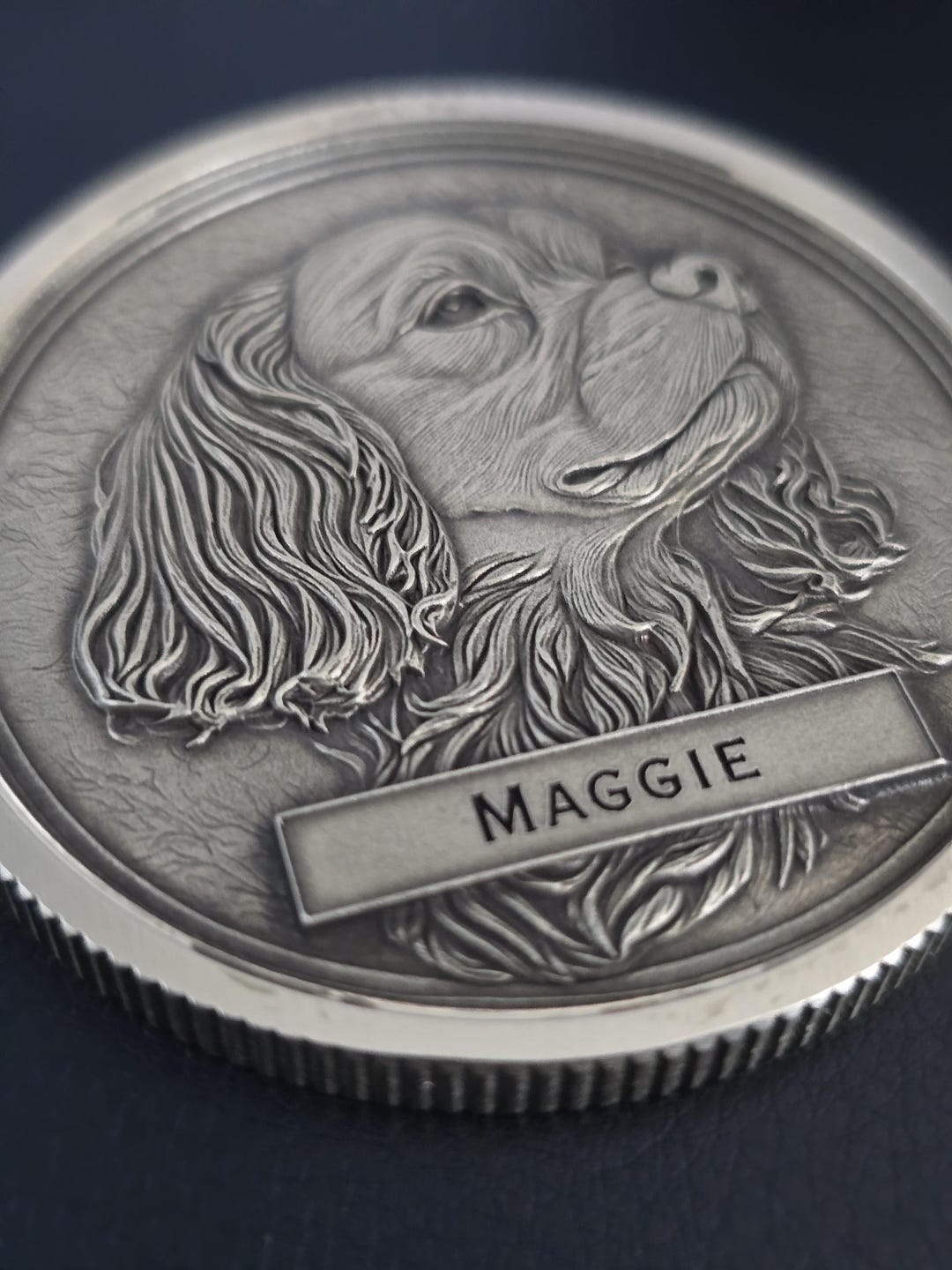 Custom Pet Memorial Coin – Personalized Dog or Cat Portrait Token With ...