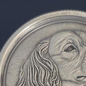 Custom Pet Memorial Coin – Personalized Dog or Cat Portrait Token With ...