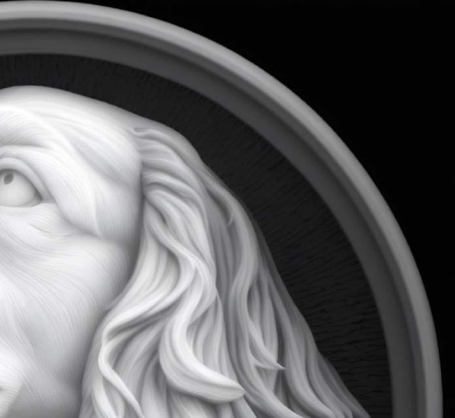 Coin Depth Map | Height Map | Xtool | Glowforge | PNG File | Grayscale ...