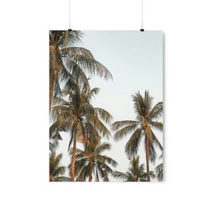 Palm Tree Wall Art, Poster, Decor - Etsy