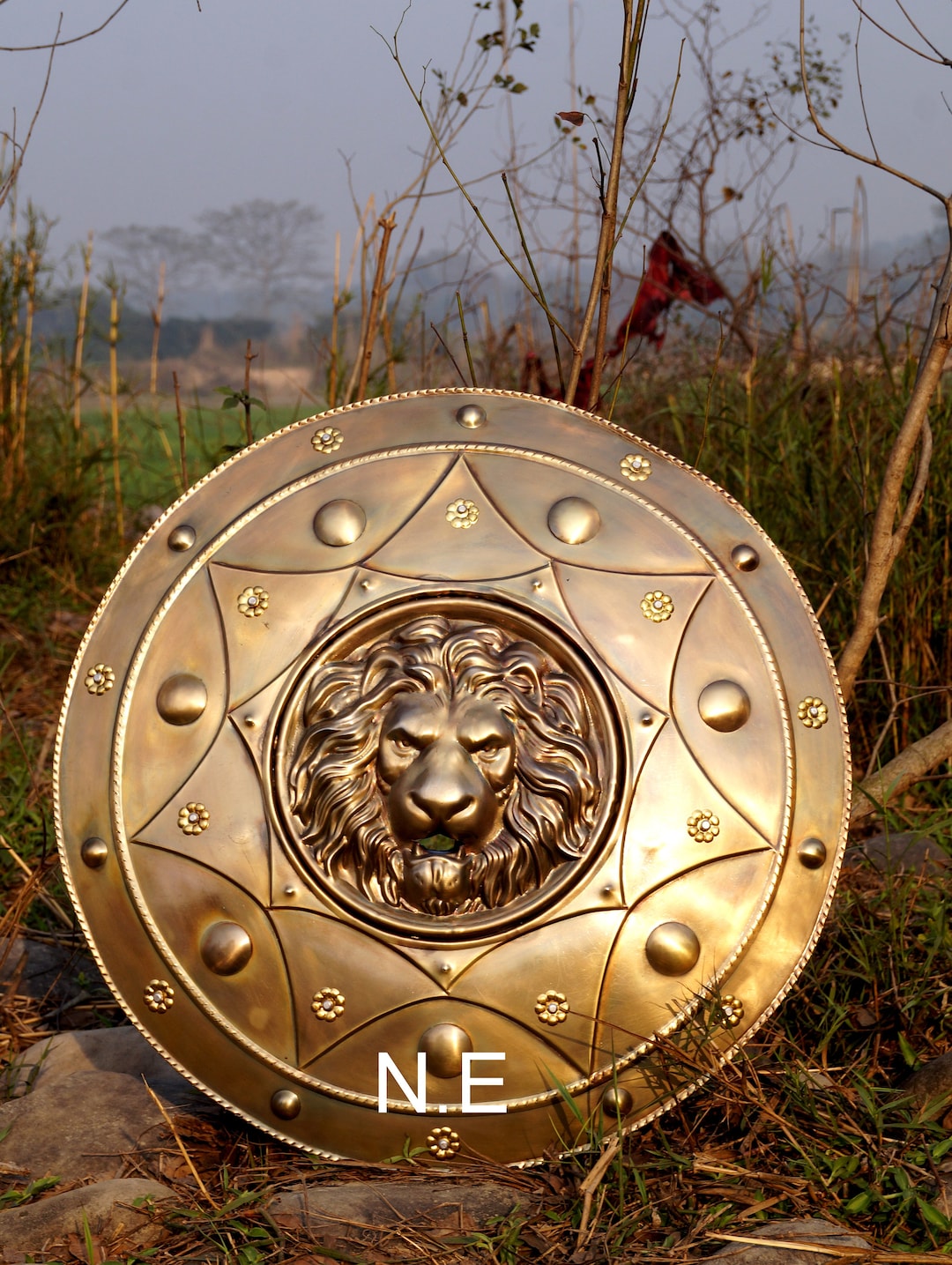 24'' Medieval Lion Face Shield 18 Gauge Steel & Round Shape Designer ...