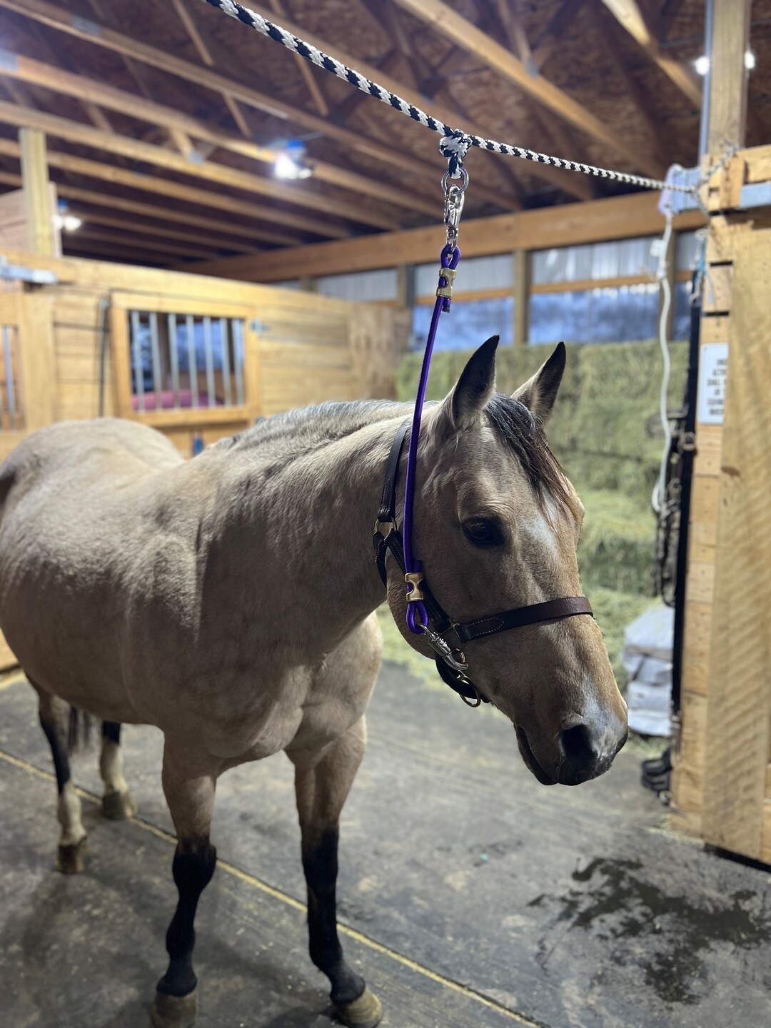 The Longe Line Lady Overhead Tie Solid Braid - Etsy