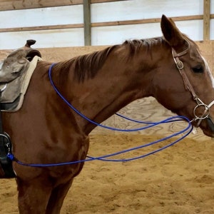 The Longe Line Lady Draw Reins - Etsy