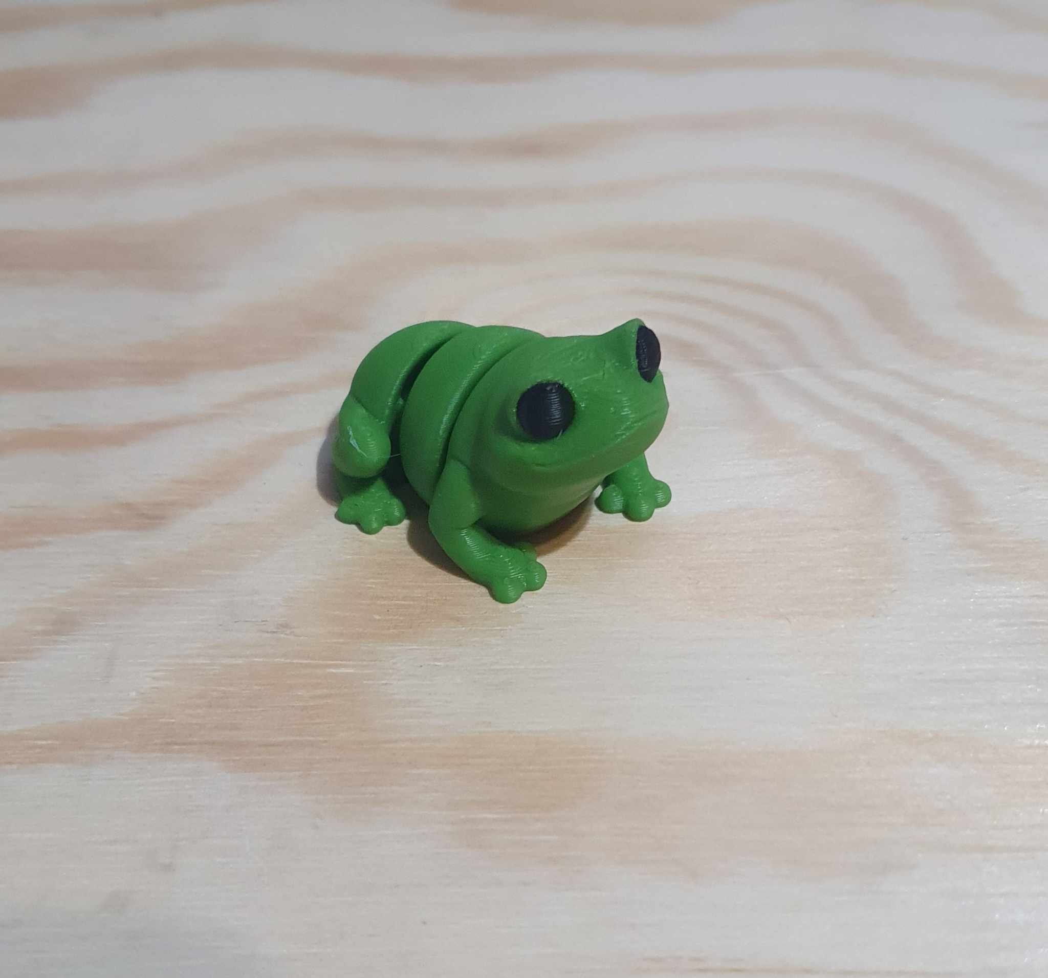 Tiny Frog Fidget Toy 3D Printed Kids - Etsy
